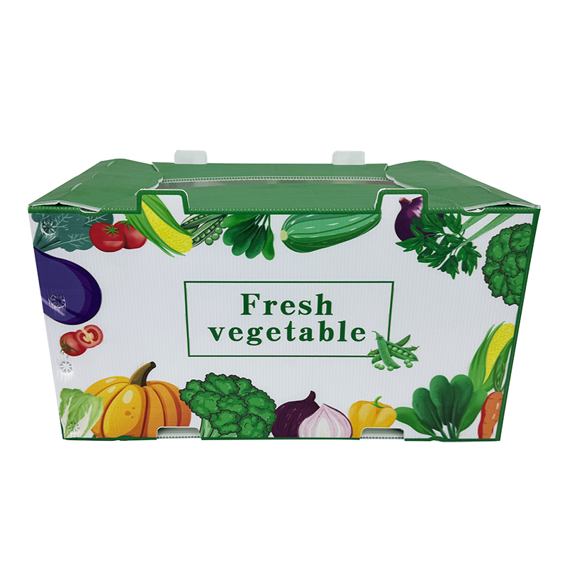 Best Factory wholesale reusable hollow vegetable packing box Seafood ...