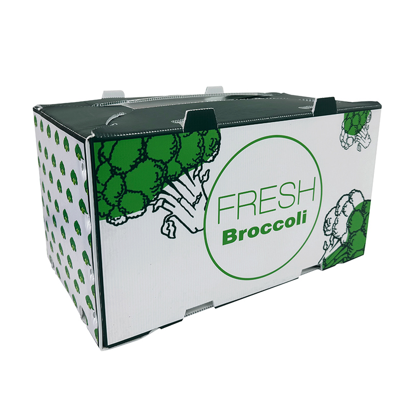 Best New packaging method Plastic corrugated box for packaging fresh ...
