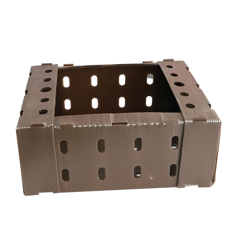Best Hot selling low price corrugated pp vegetable okra packaging boxes ...