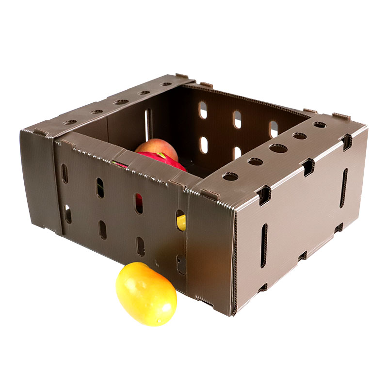 Best Wholesale plastic fruit box packaging factory PP corrugated ...