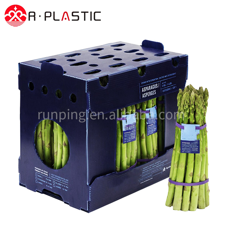 Best Custom asparagus packing boxes Folding PP Corrugated Corflute ...