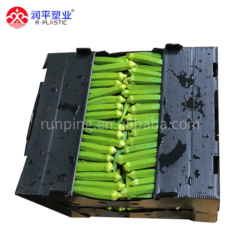 Best Polypropylene Hollow Plastic box for packaging Okra Manufacturer ...
